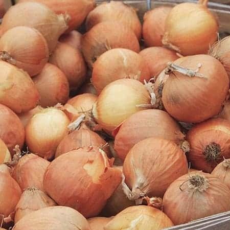 Onion Sets – Pleveys Garden World