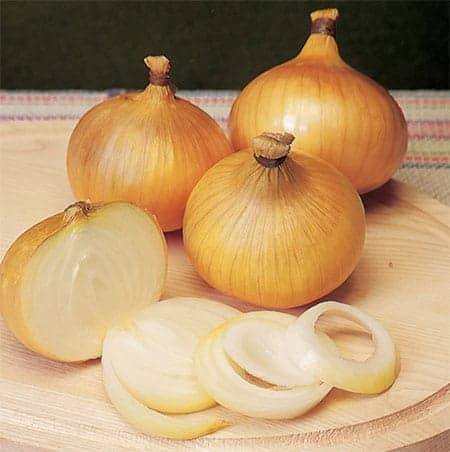 Onion Sets – Pleveys Garden World
